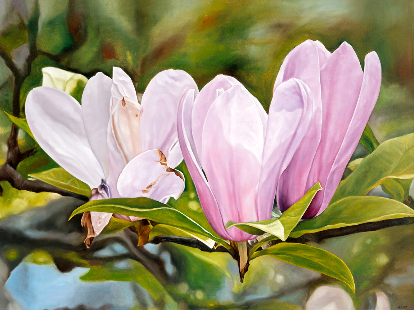 Fading Magnolia Flowers by Sandra Manzi - Crown and Press Gallery ...